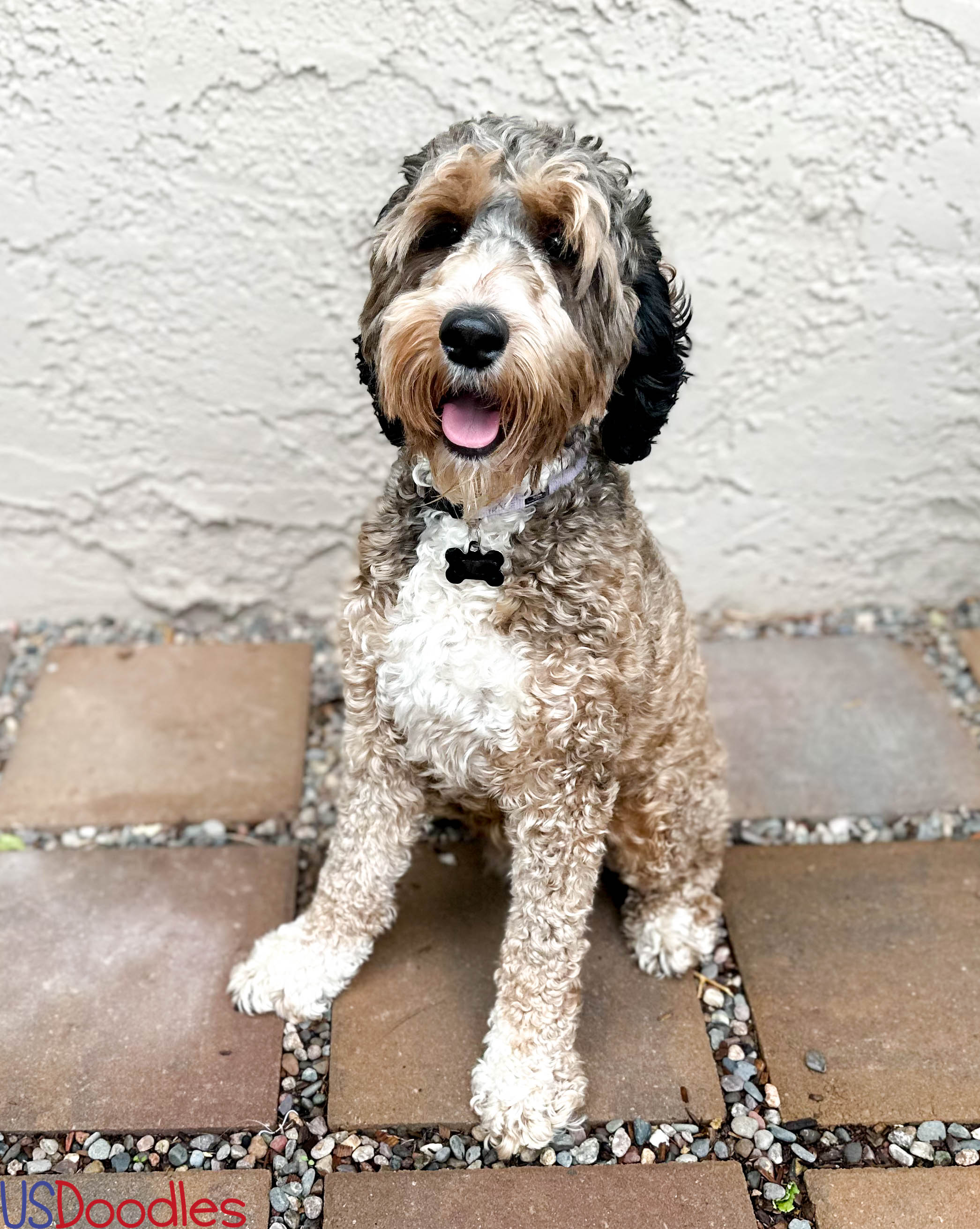 December2022Sasha Parent-2 – USDoodles