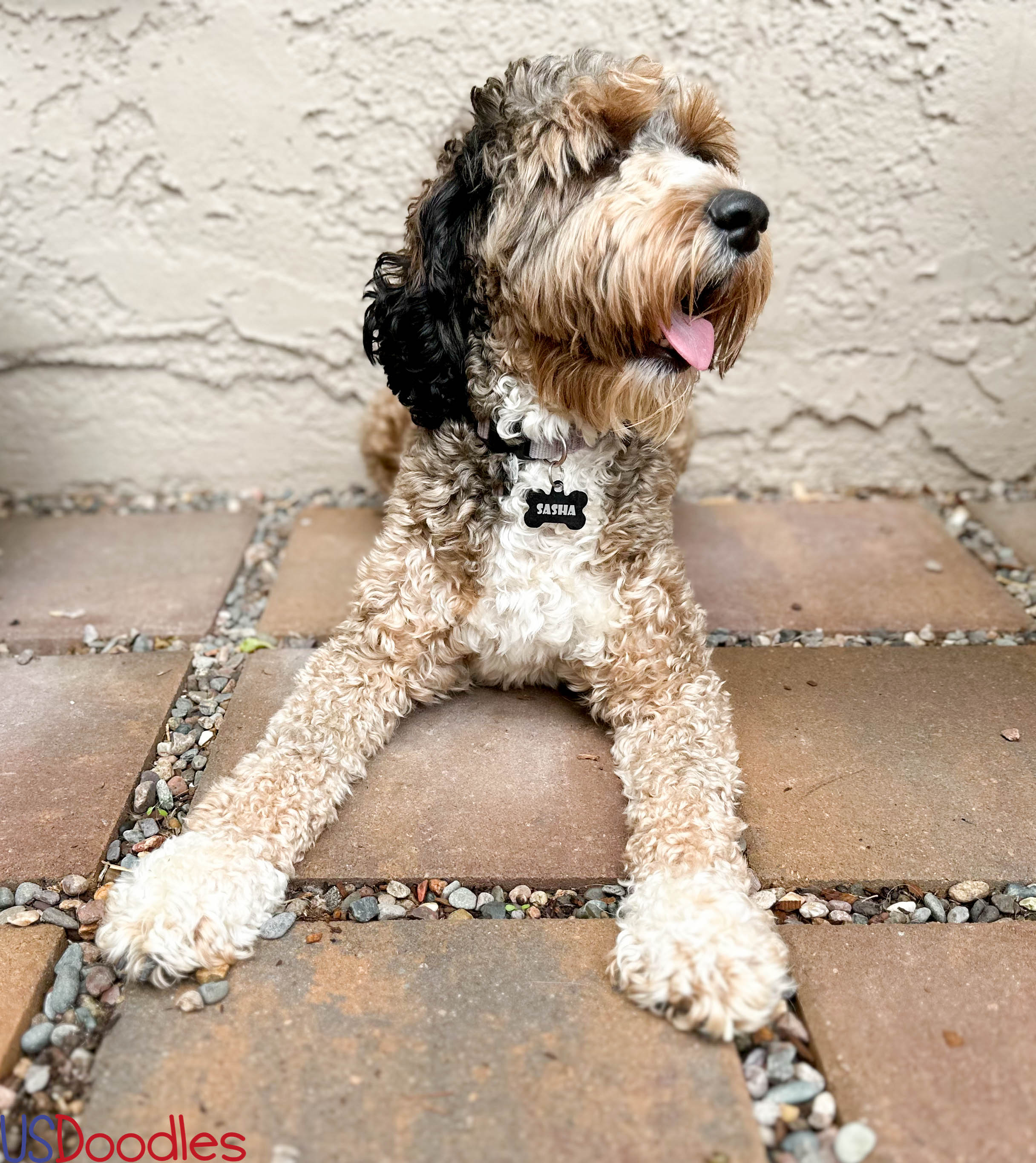 December2022Sasha Parent-4 – USDoodles