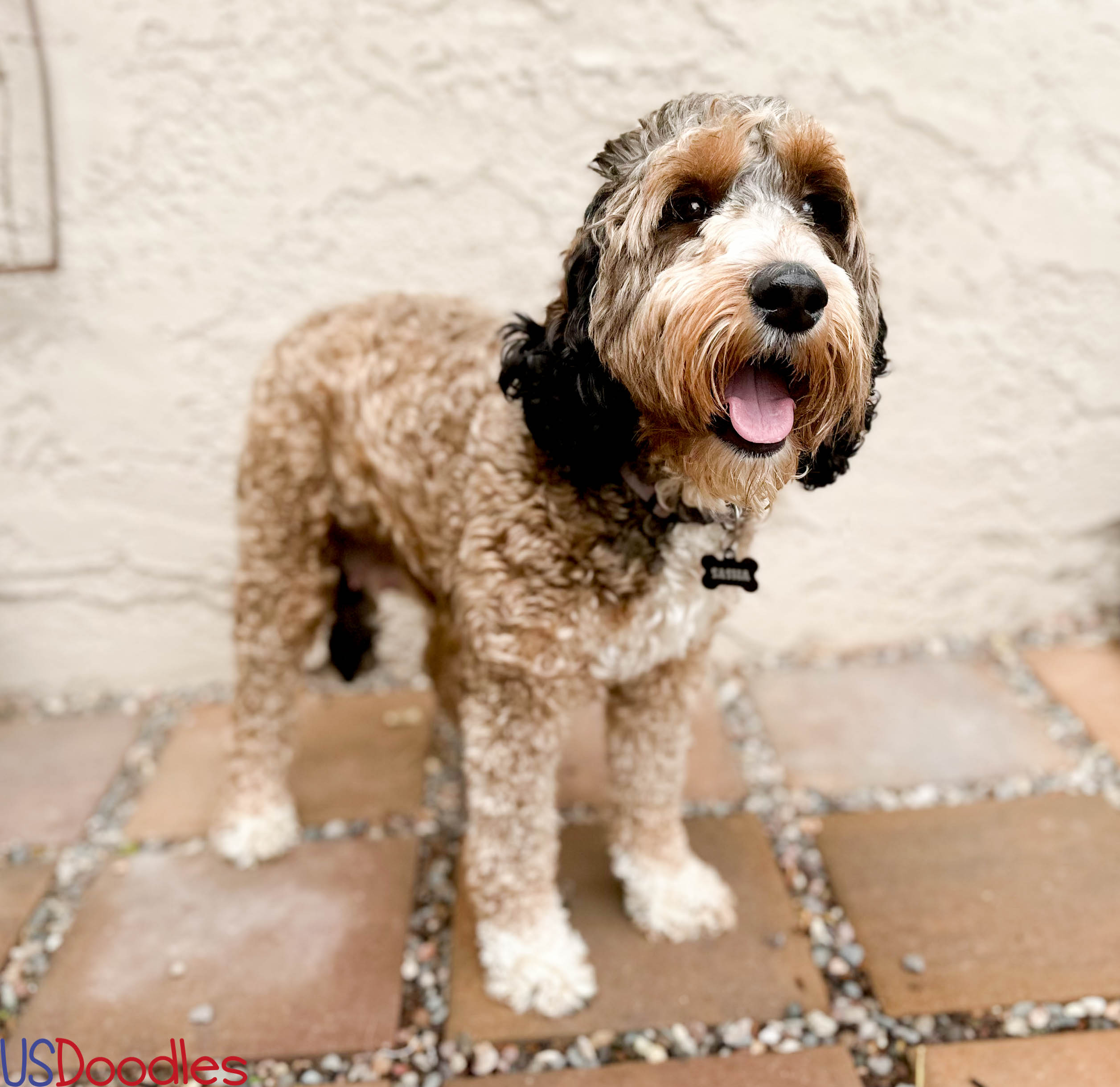 December2022Sasha Parent-7 – USDoodles